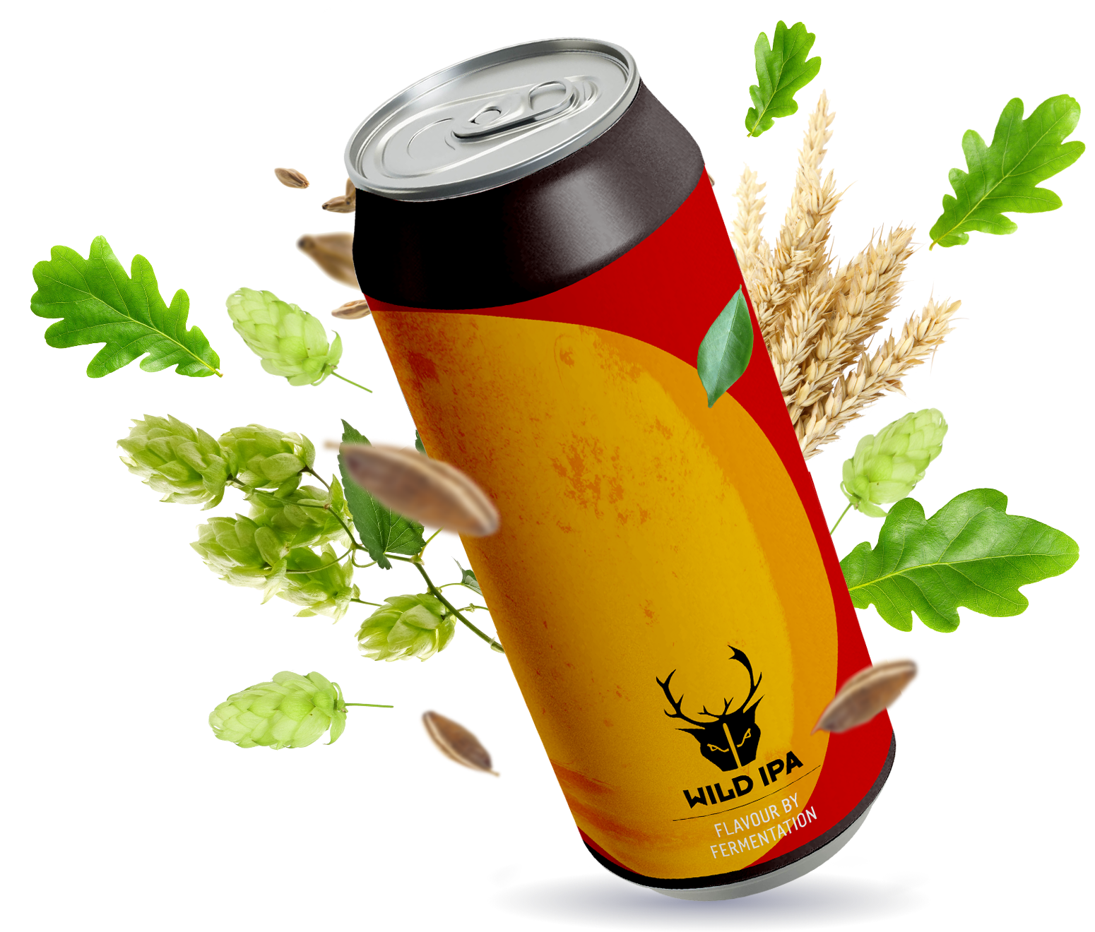 UK Craft Beers & Beer Kegs Company Online - The Wild Beer Co