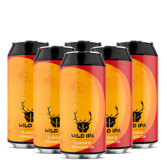 Buy Craft Beers, IPA and Pale Ales Online - The Wild Beer Co